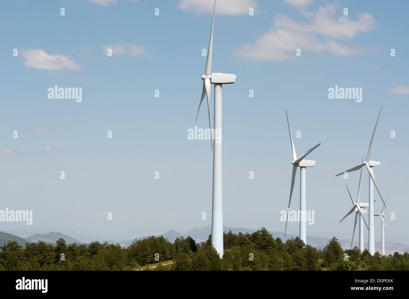 group of windmills for renewable electric energy production and pine ...