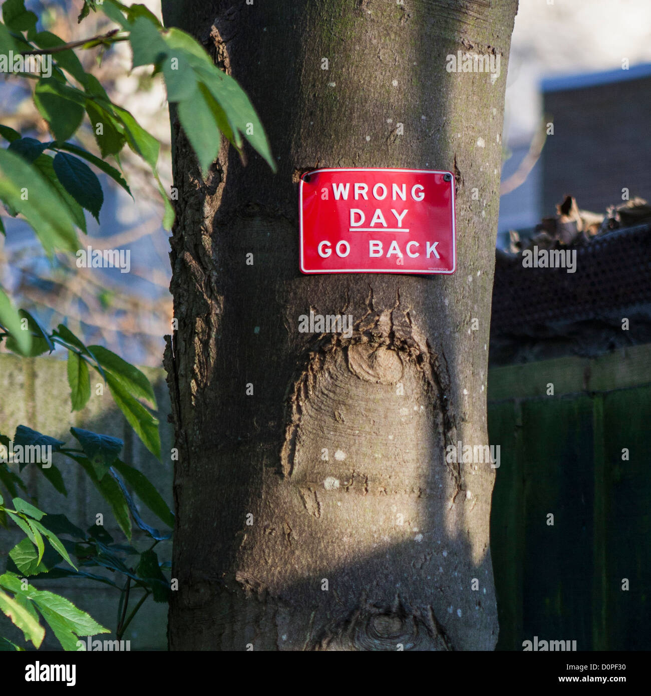 Wrong day, Go Back - sign on a tree on Eel Pie island which is home to ...