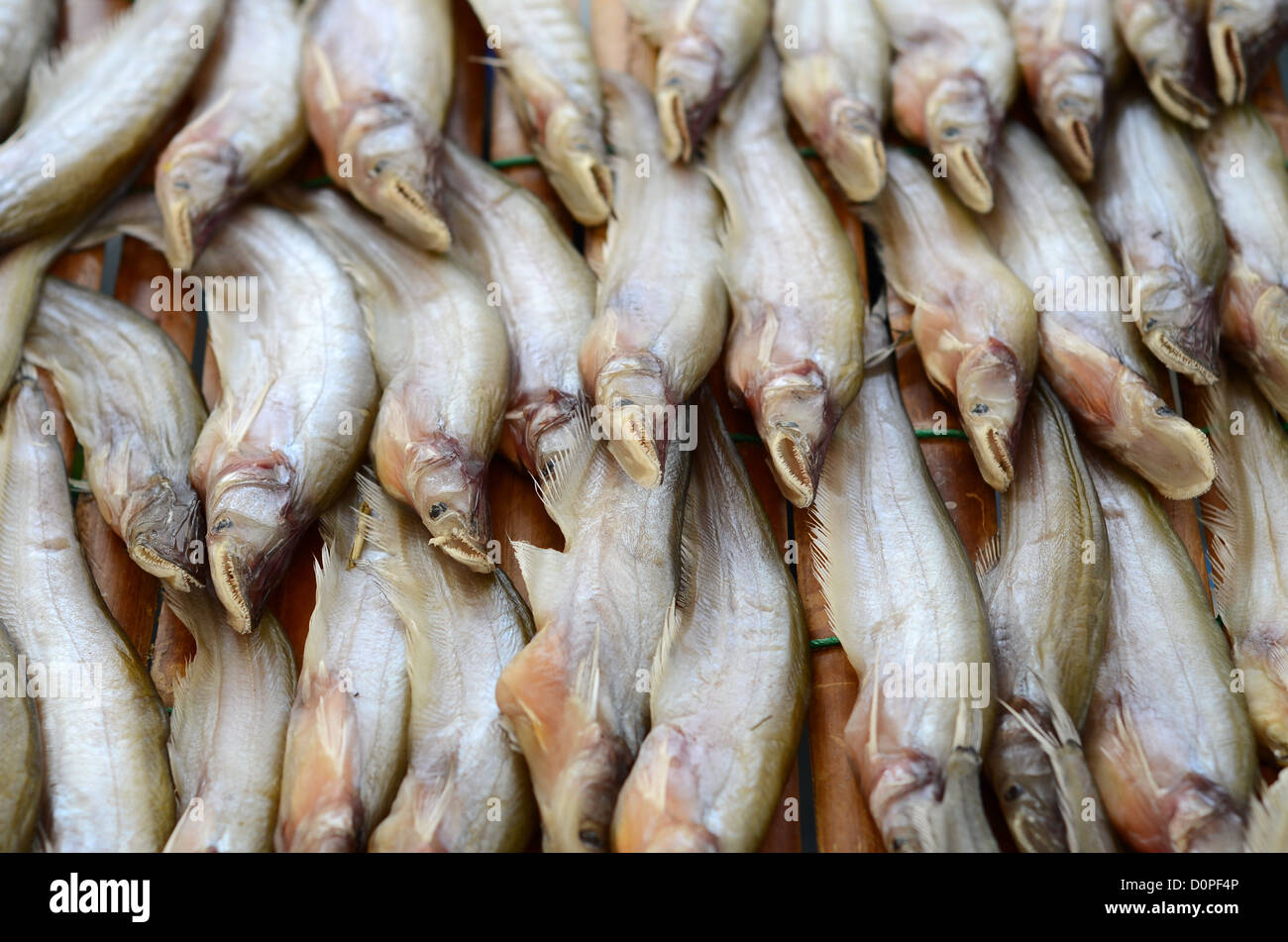 Thailand dried fish hi-res stock photography and images - Alamy