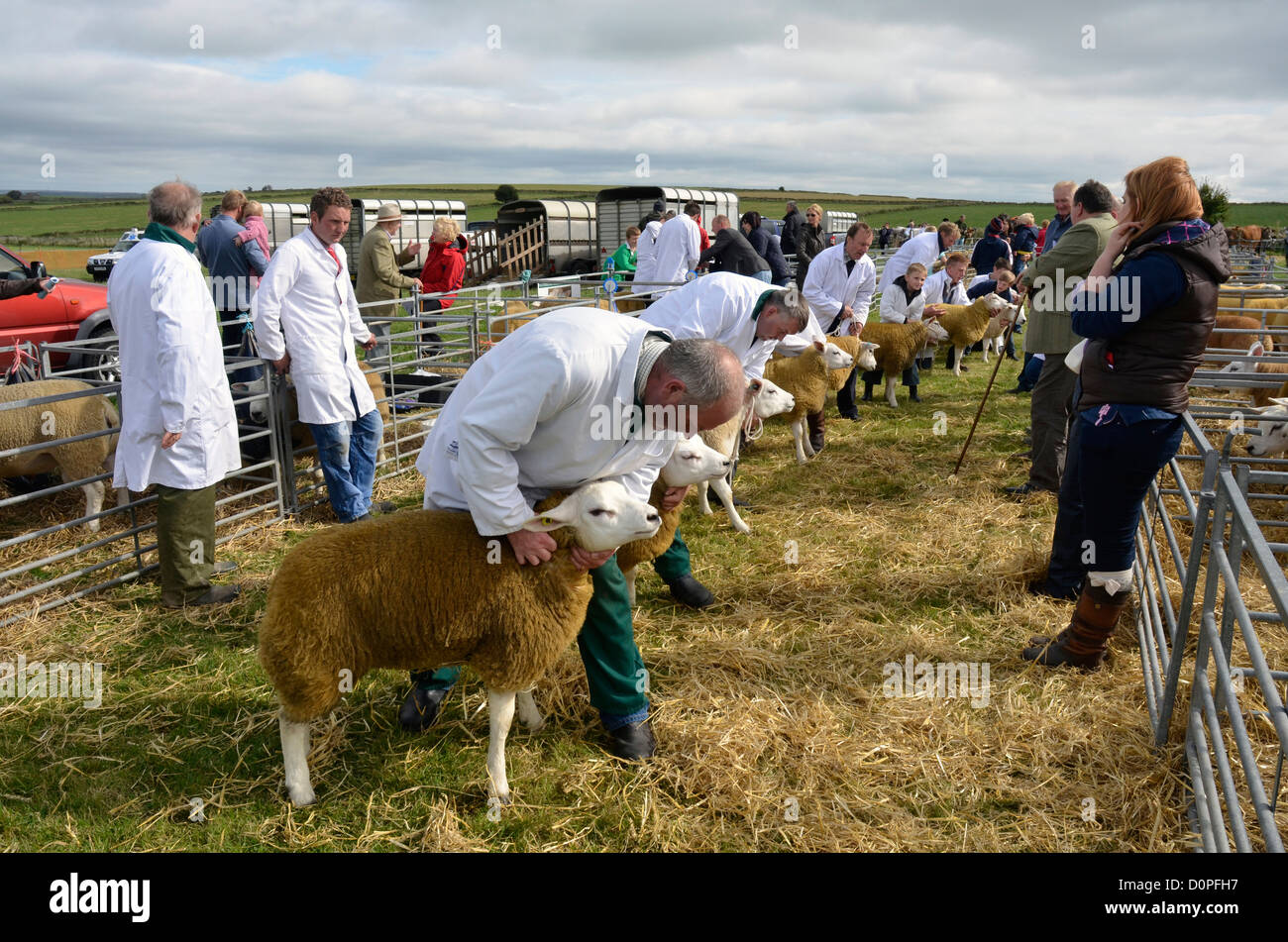 Country judging farming hi-res stock photography and images - Alamy