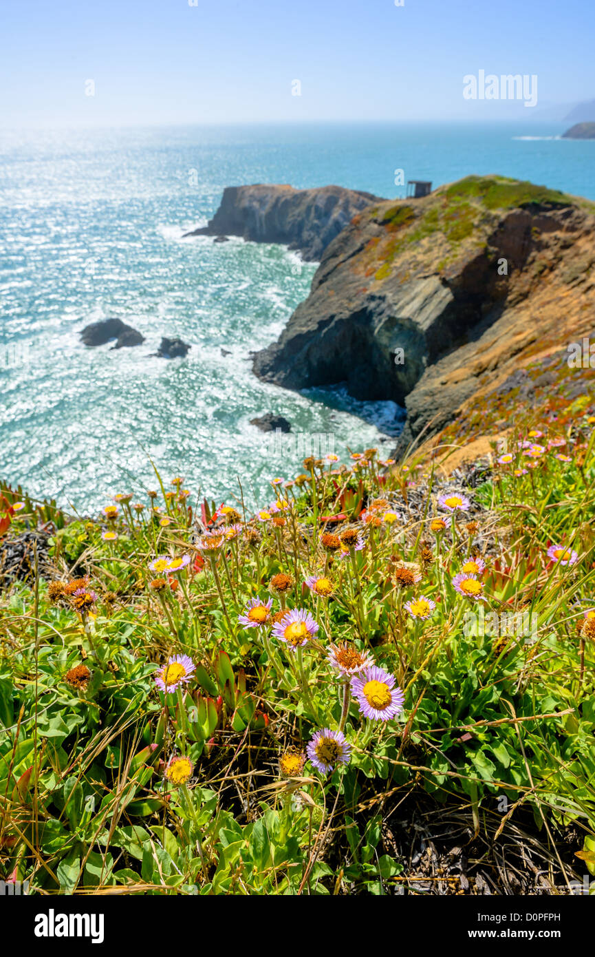 Blue ocean and cliff hi-res stock photography and images - Alamy