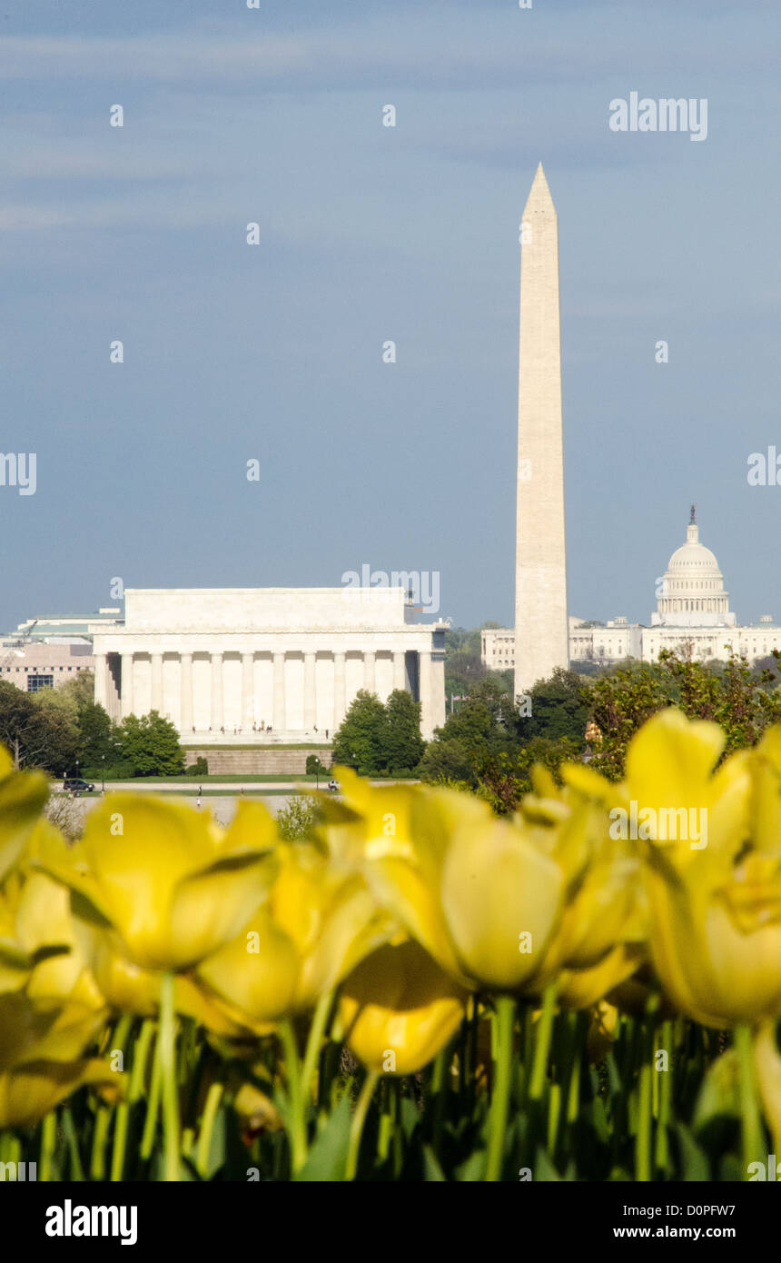 Capital building washington dc flowers hi-res stock photography and ...