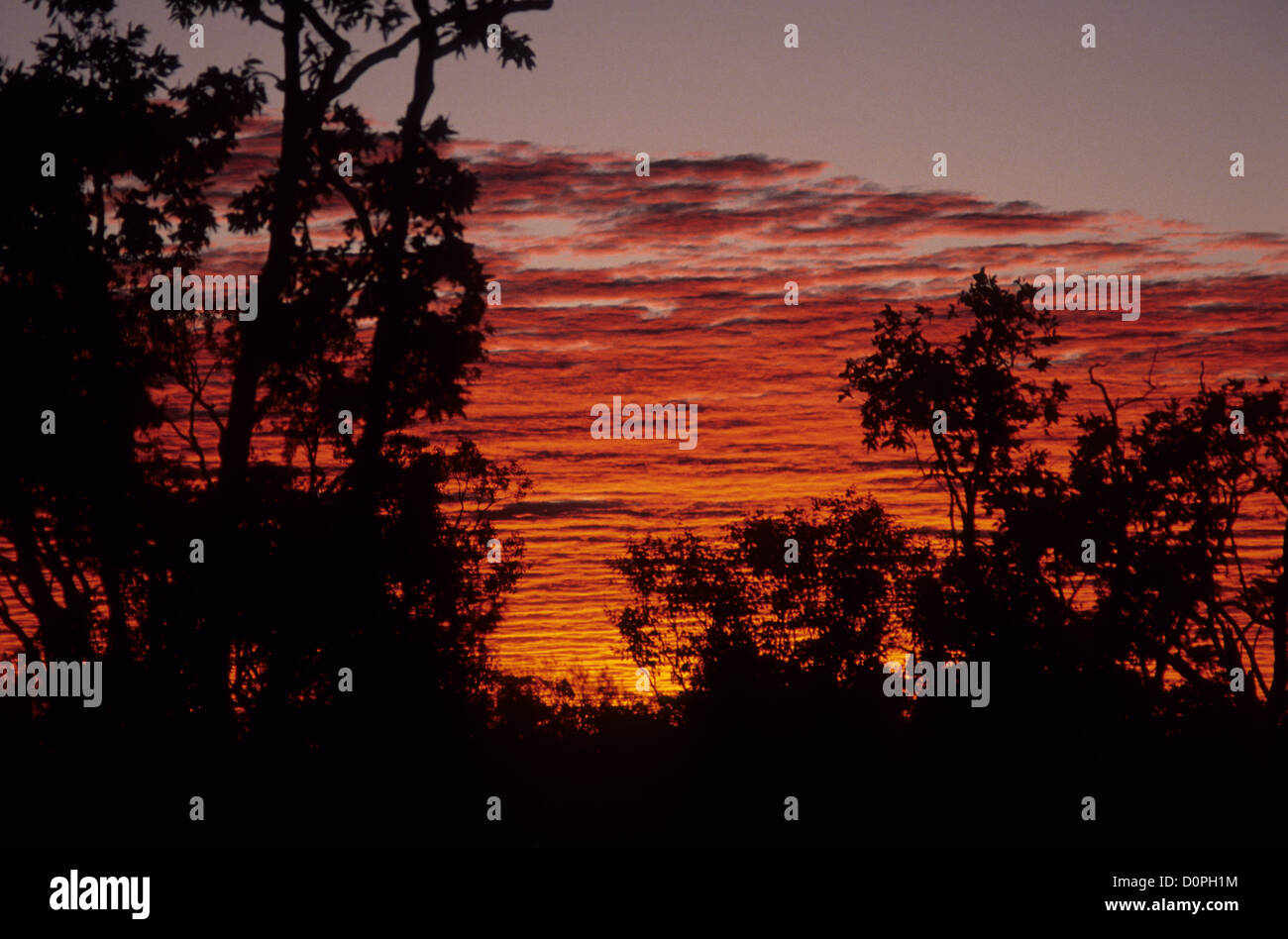 Australia, sunset sky in the outback, red centre Stock Photo - Alamy