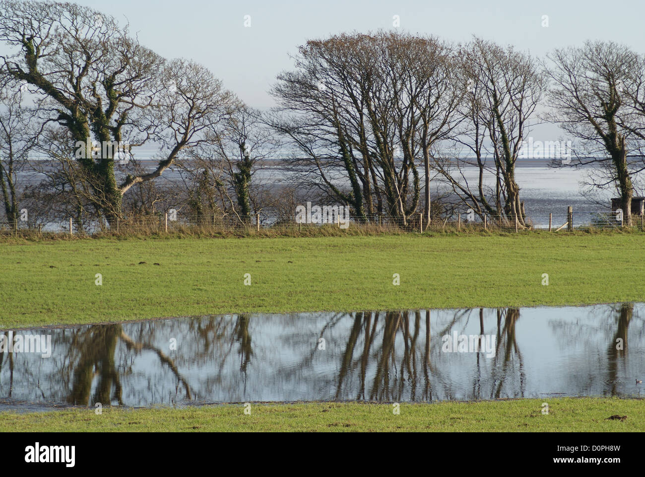 Morecambe bay field hi-res stock photography and images - Alamy