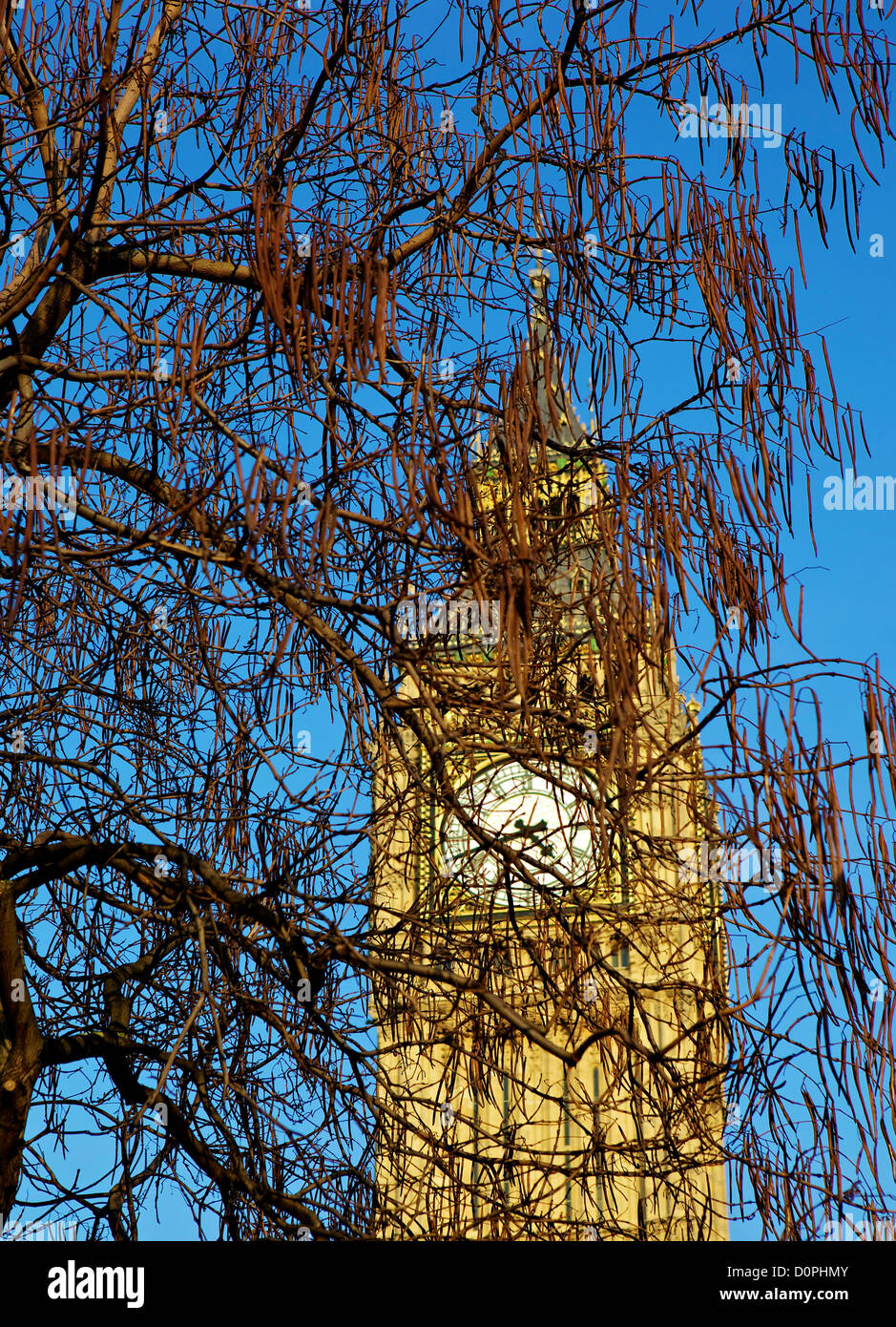 Big Ben through trees, Houses of Parliament, Westminster, London ...