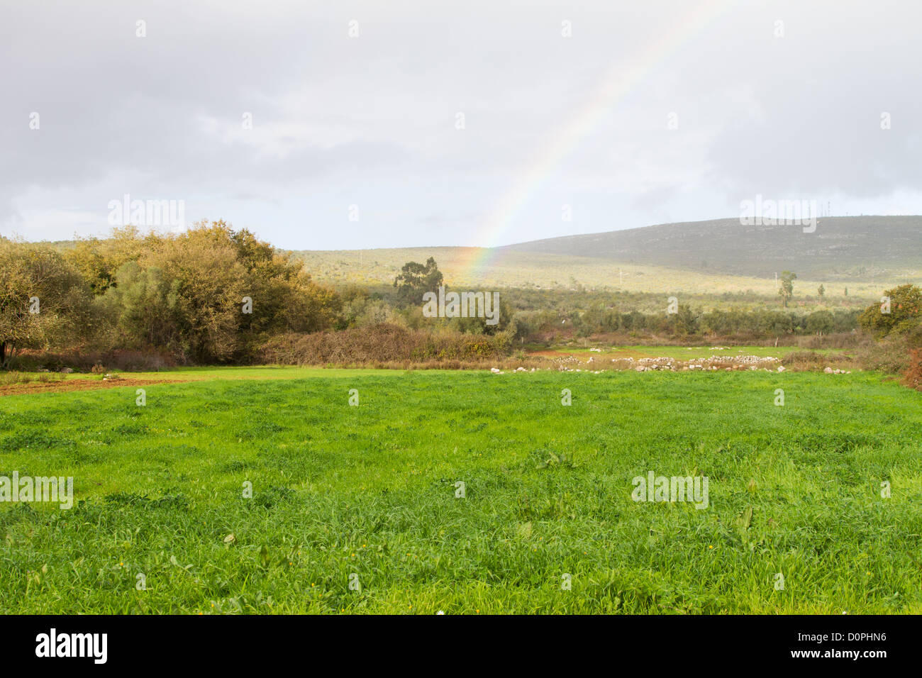 Rural garden on bottom of an hill with rainbow Stock Photo - Alamy