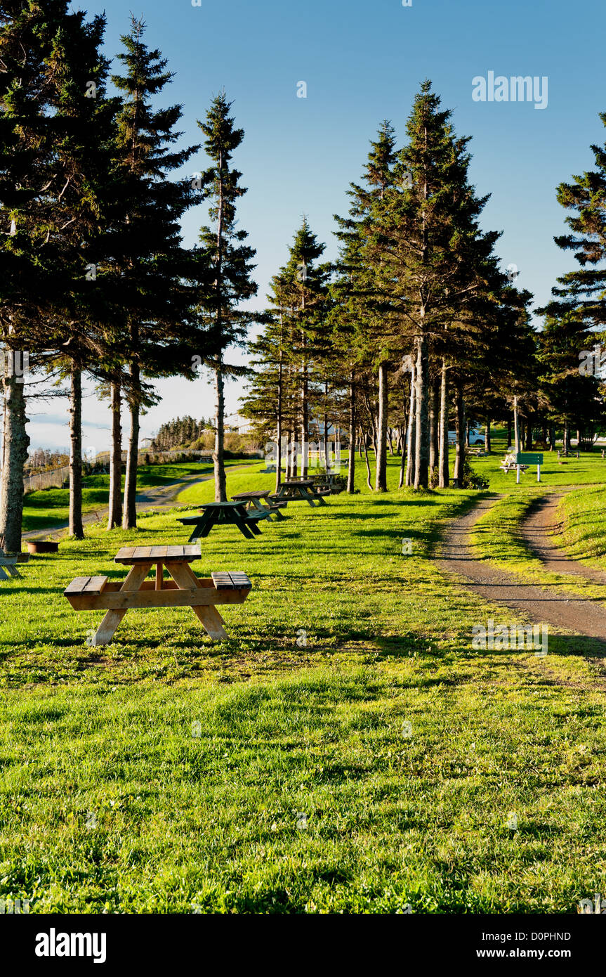 Beautiful rest area of a campground in the morning sun Stock Photo - Alamy