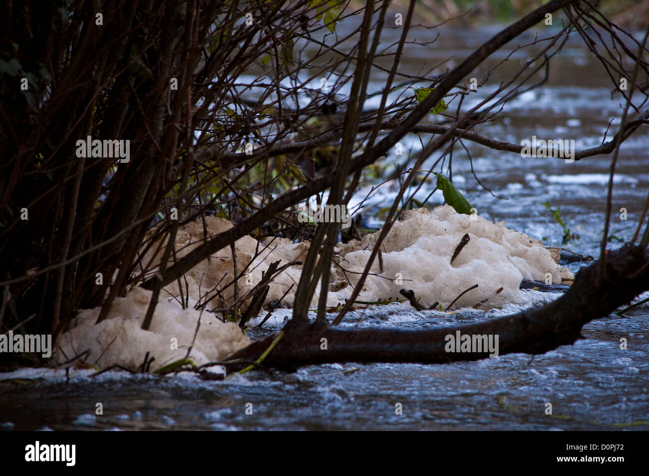 Natural foam in river water Stock Photo - Alamy