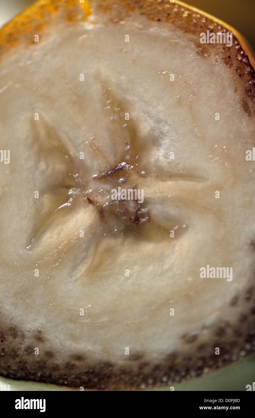Banana cross section Stock Photo - Alamy
