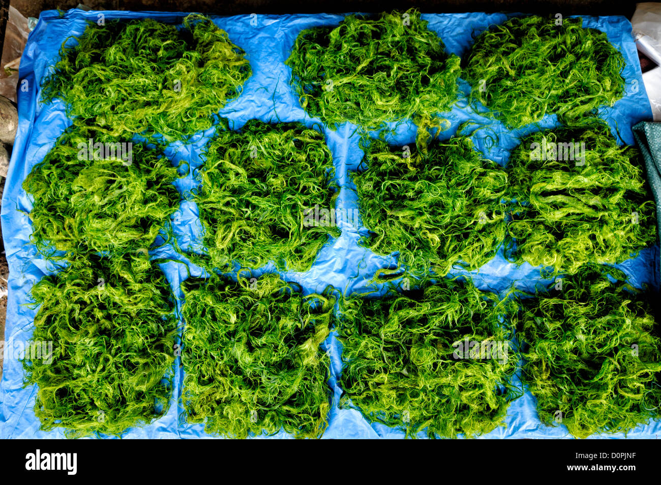 Luang namtha local cuisine hi-res stock photography and images - Alamy