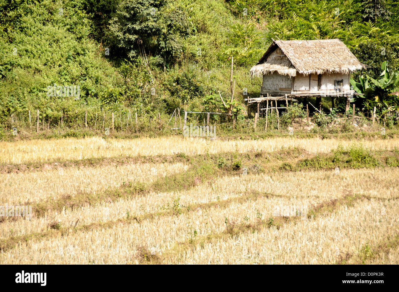 Intensive subsistence farming hi-res stock photography and images - Alamy