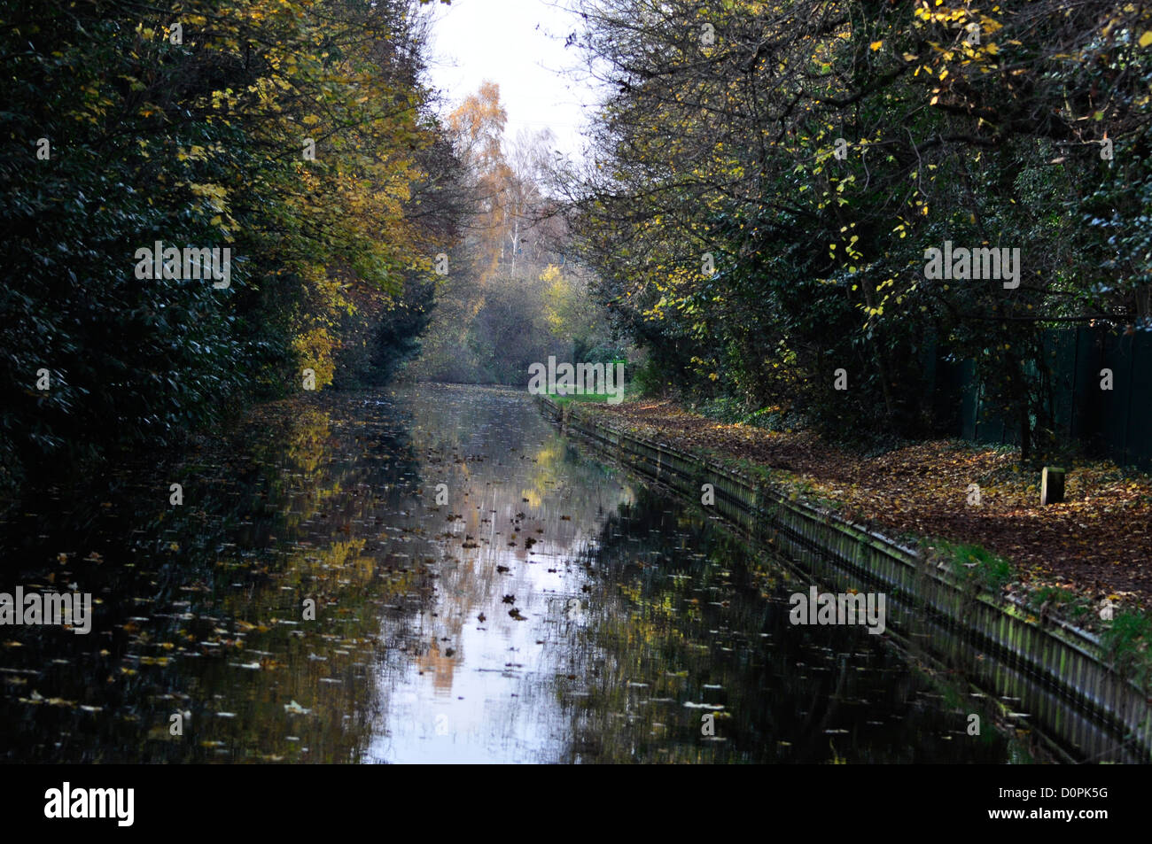 Autumn Leaves On The Canal Stock Photo - Alamy