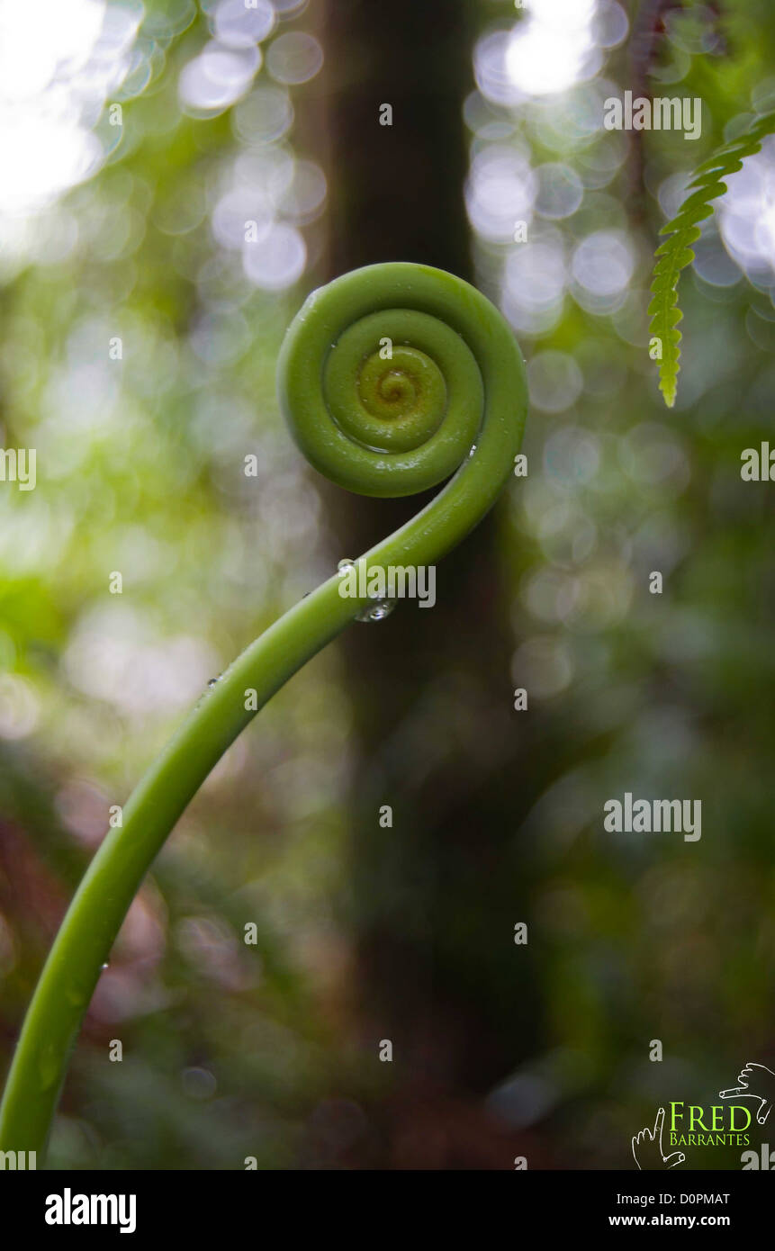 Adfghjkl hi-res stock photography and images - Alamy