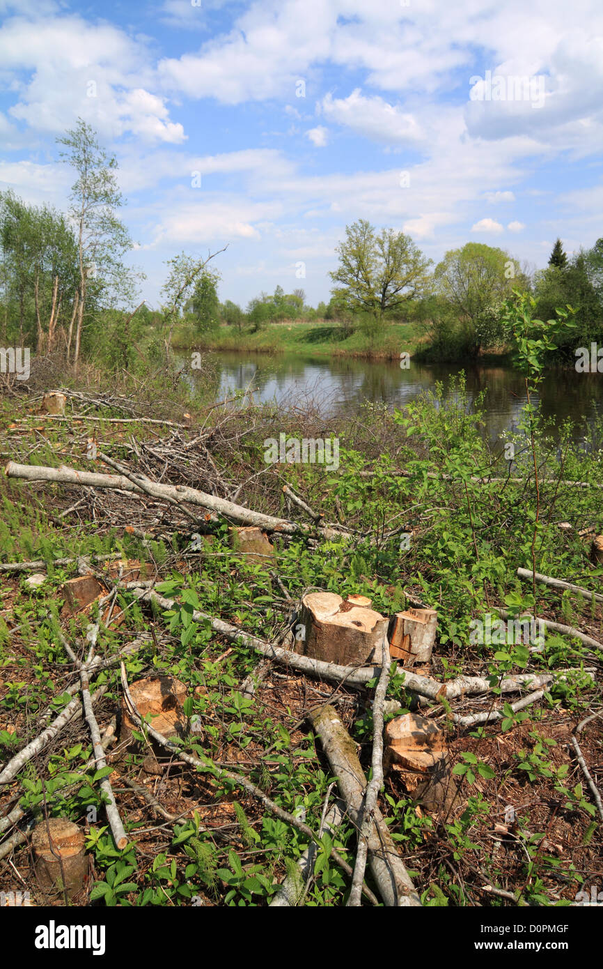 Chopping firewood detail hi-res stock photography and images - Alamy