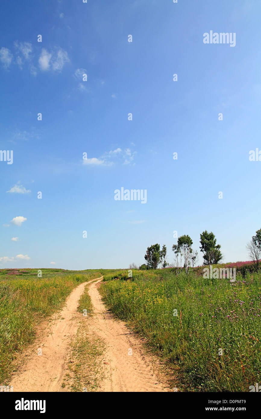 road in field Stock Photo - Alamy
