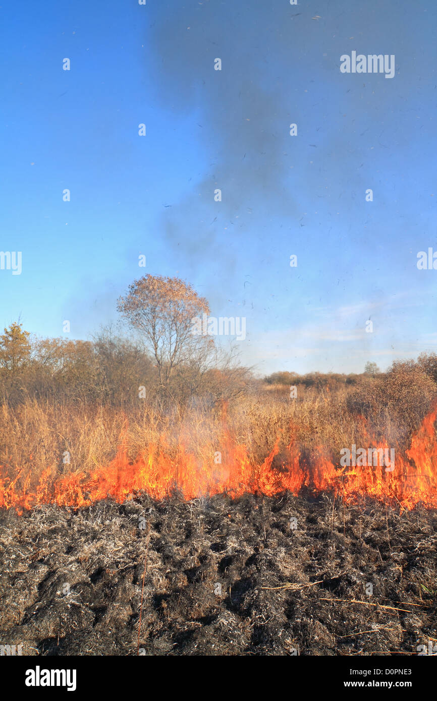 Fire in dry season hi-res stock photography and images - Alamy
