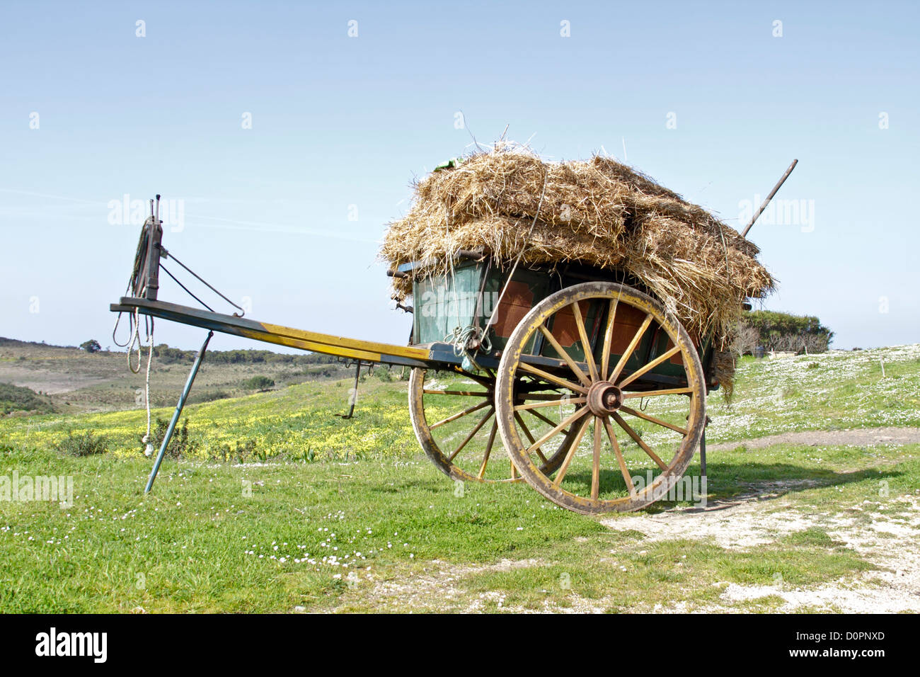Old fashioned hand cart with hay in the countryside from Portugal Stock ...