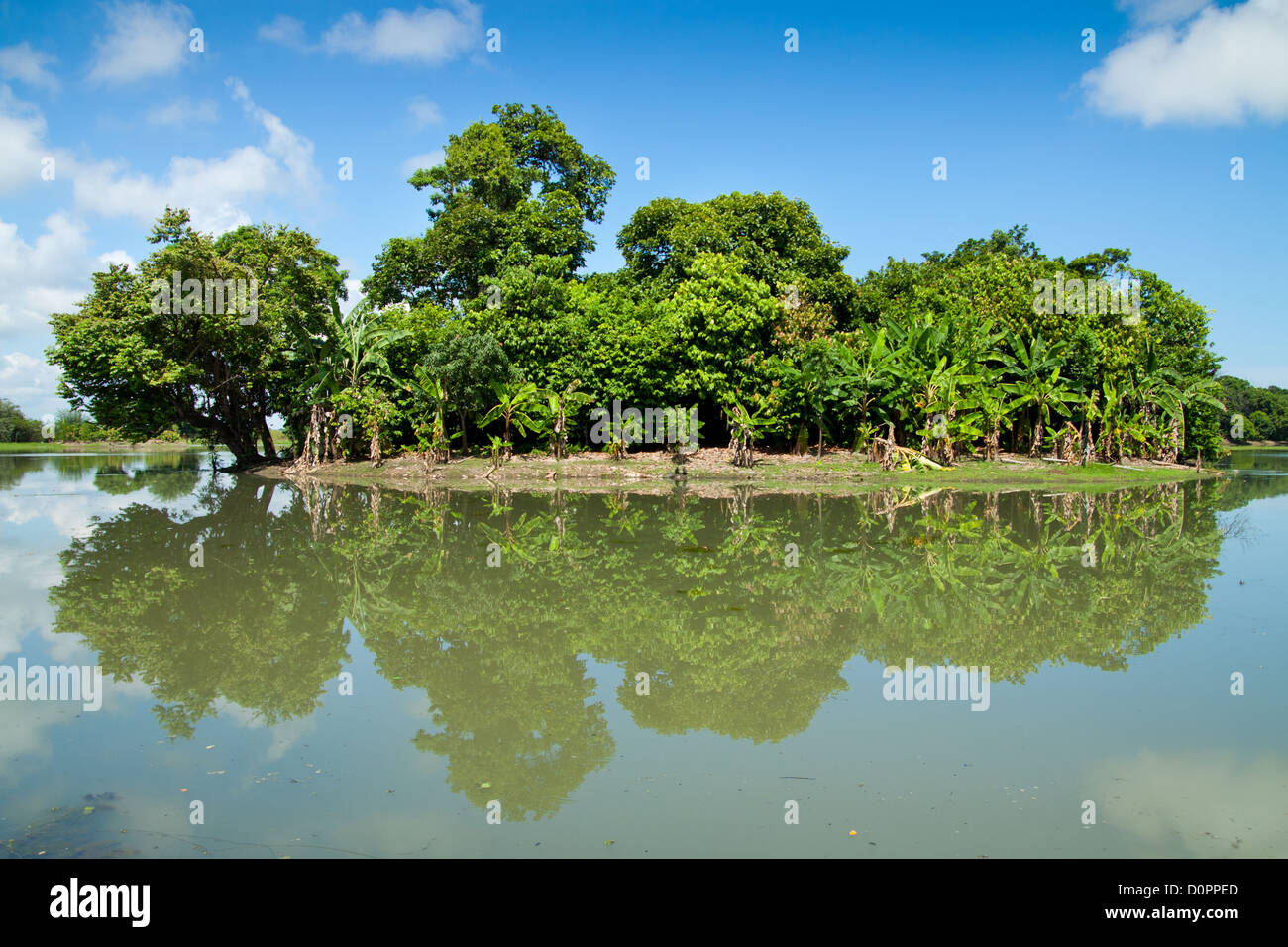 Tropical Rainforest Landscape, with island Stock Photo - Alamy