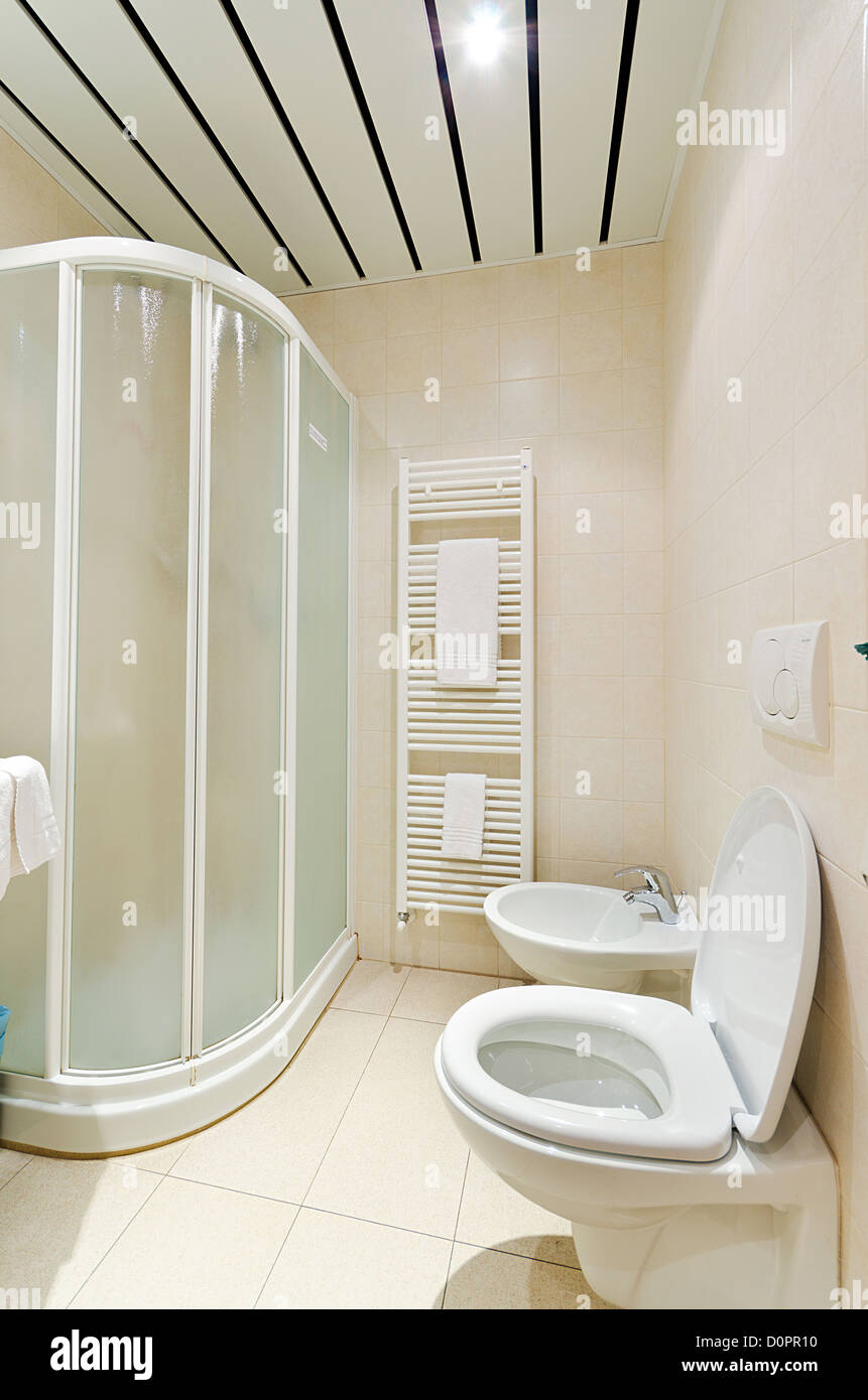 Toilet in the modern bathroom Stock Photo - Alamy