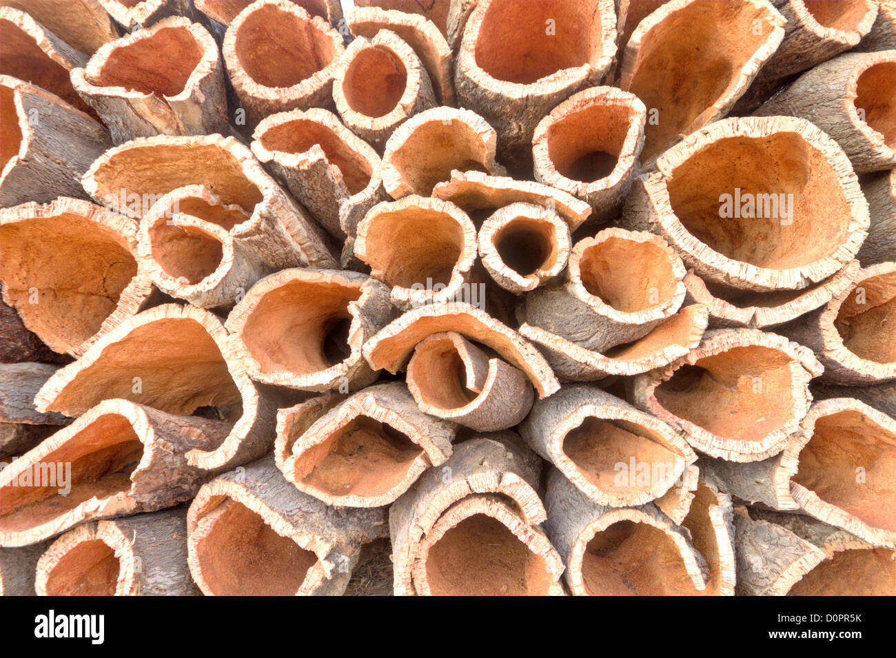 Cork tree hi-res stock photography and images - Alamy