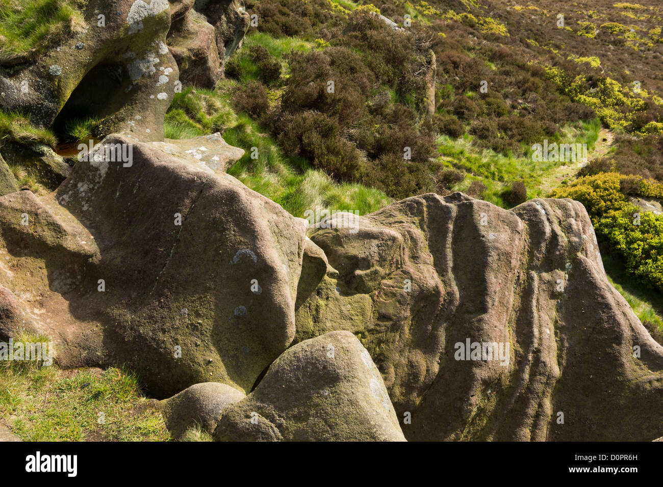 Ramshaw Rocks, a gritstone escarpment near The Roaches in the Peak ...
