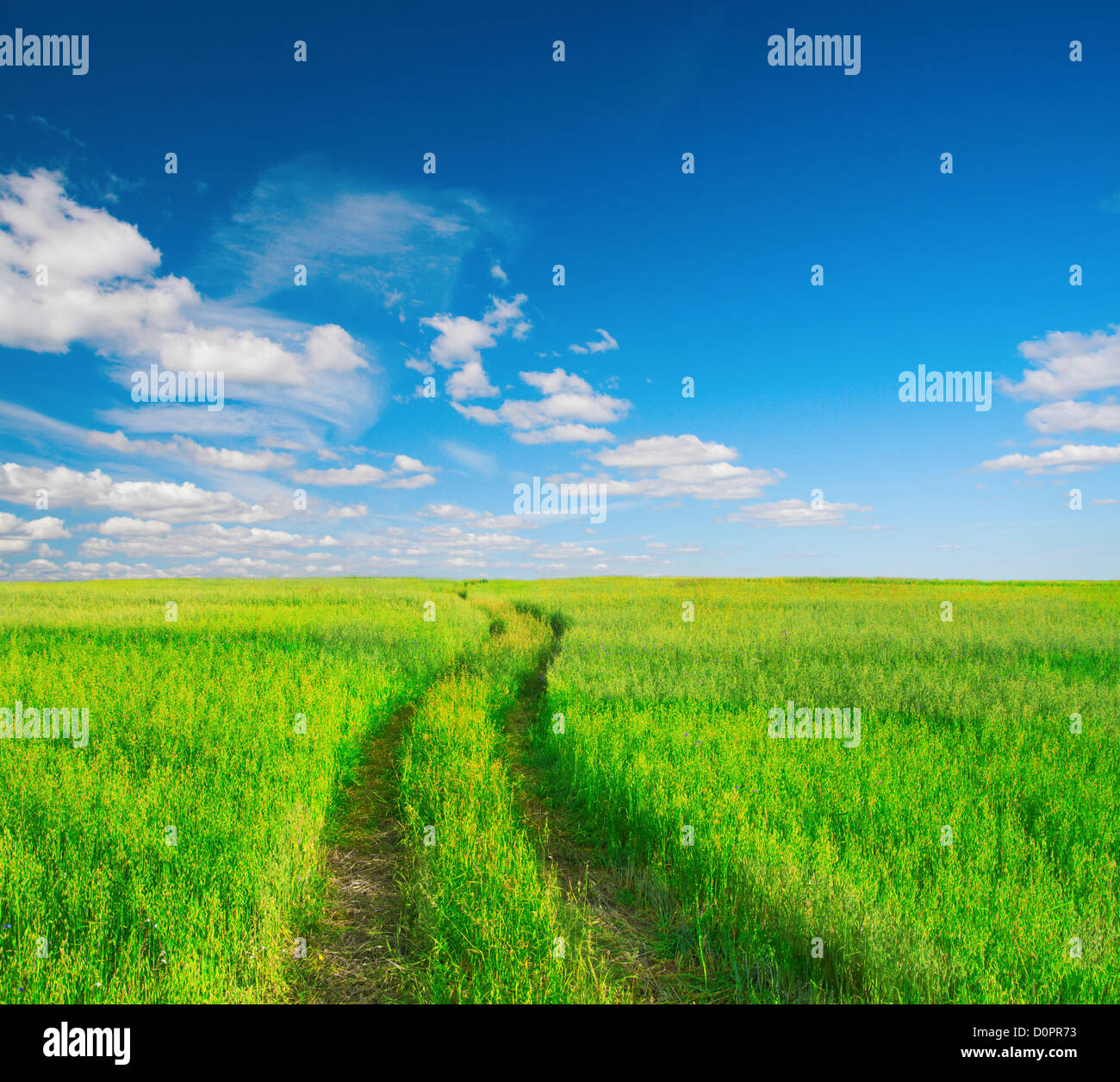 beautiful summer landscape Stock Photo - Alamy