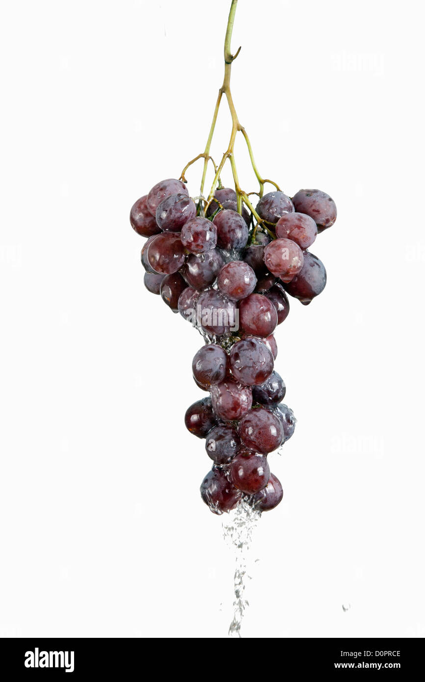 Grape with waterdrops isolated on white Stock Photo - Alamy