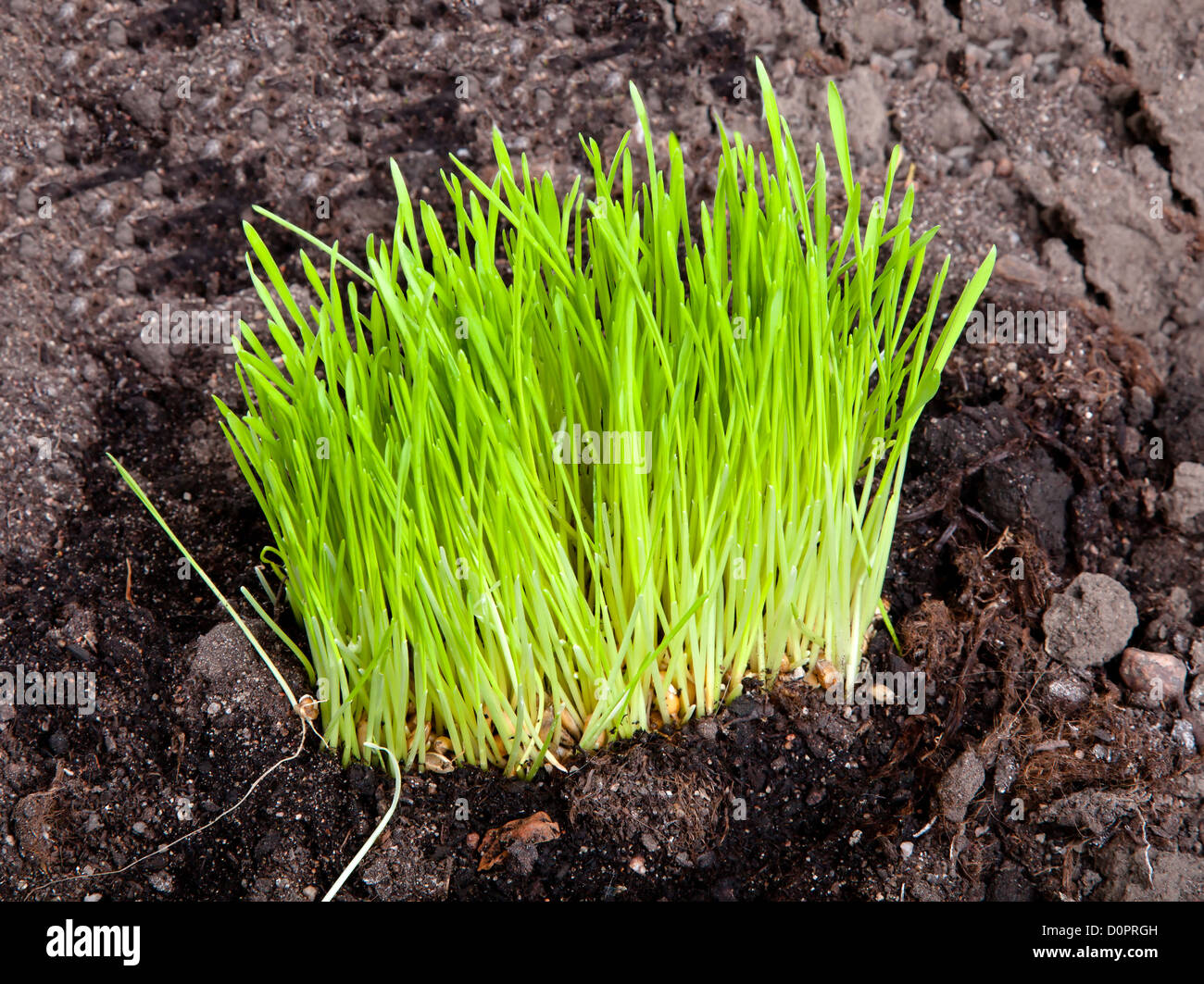 Back ground wallpaper hi-res stock photography and images - Alamy