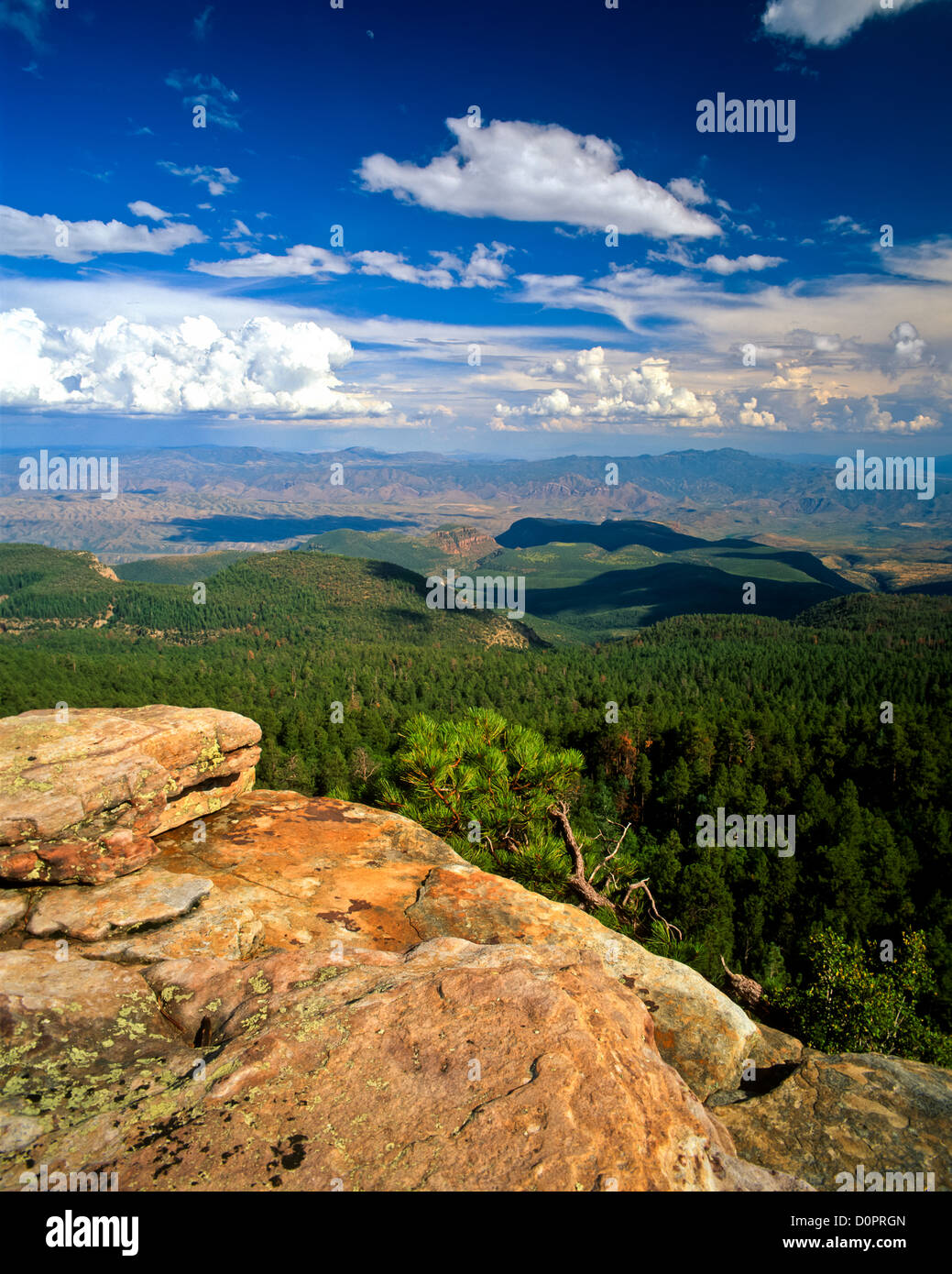 Tonto natl forest hi-res stock photography and images - Alamy