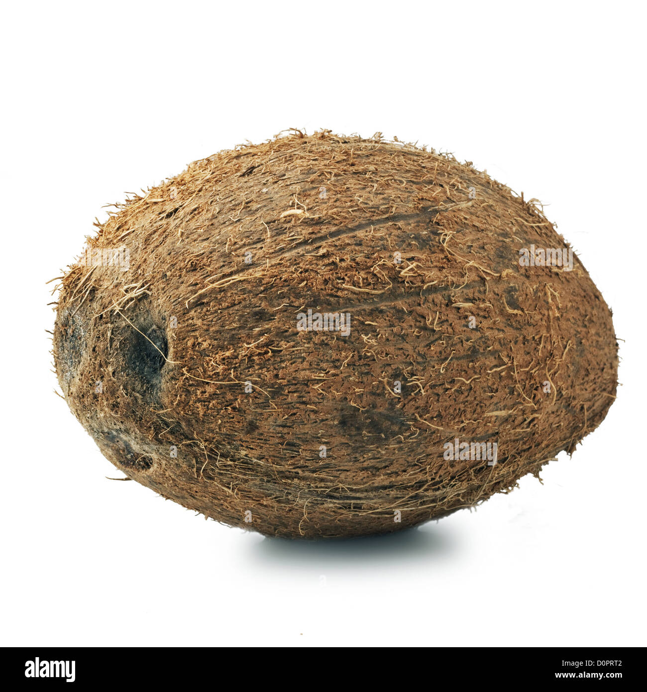 Coconut shade hi-res stock photography and images - Alamy