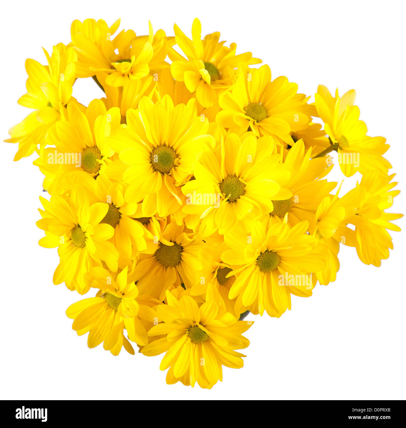Yellow gerberas isolated on white Stock Photo - Alamy
