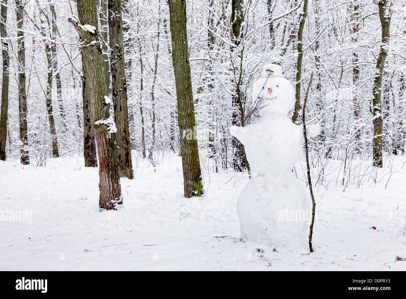 Snowman in forest Stock Photo - Alamy
