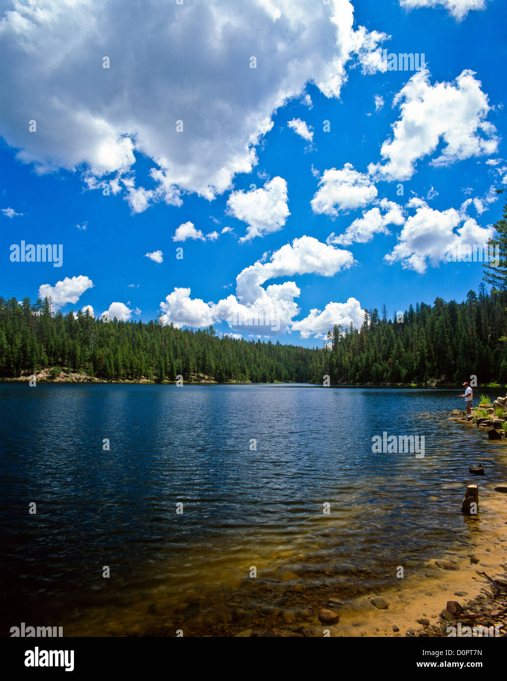 Bear Canyon Lake is a lake built by Arizona Game and Fish Department ...