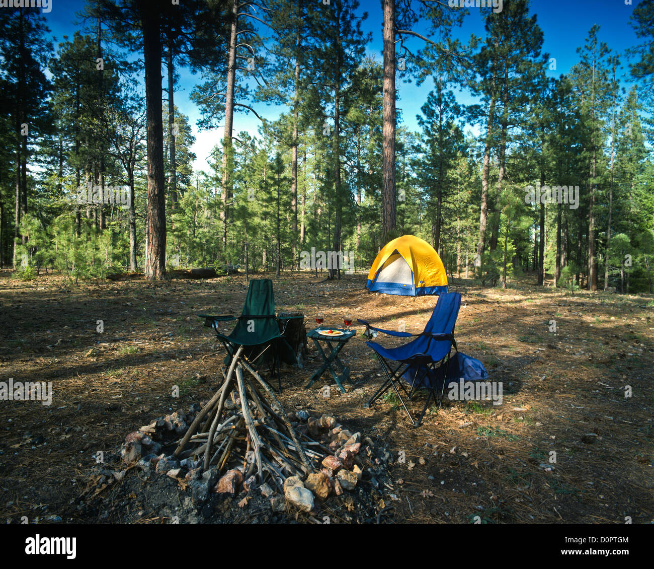 Coconino National Forest Camping
