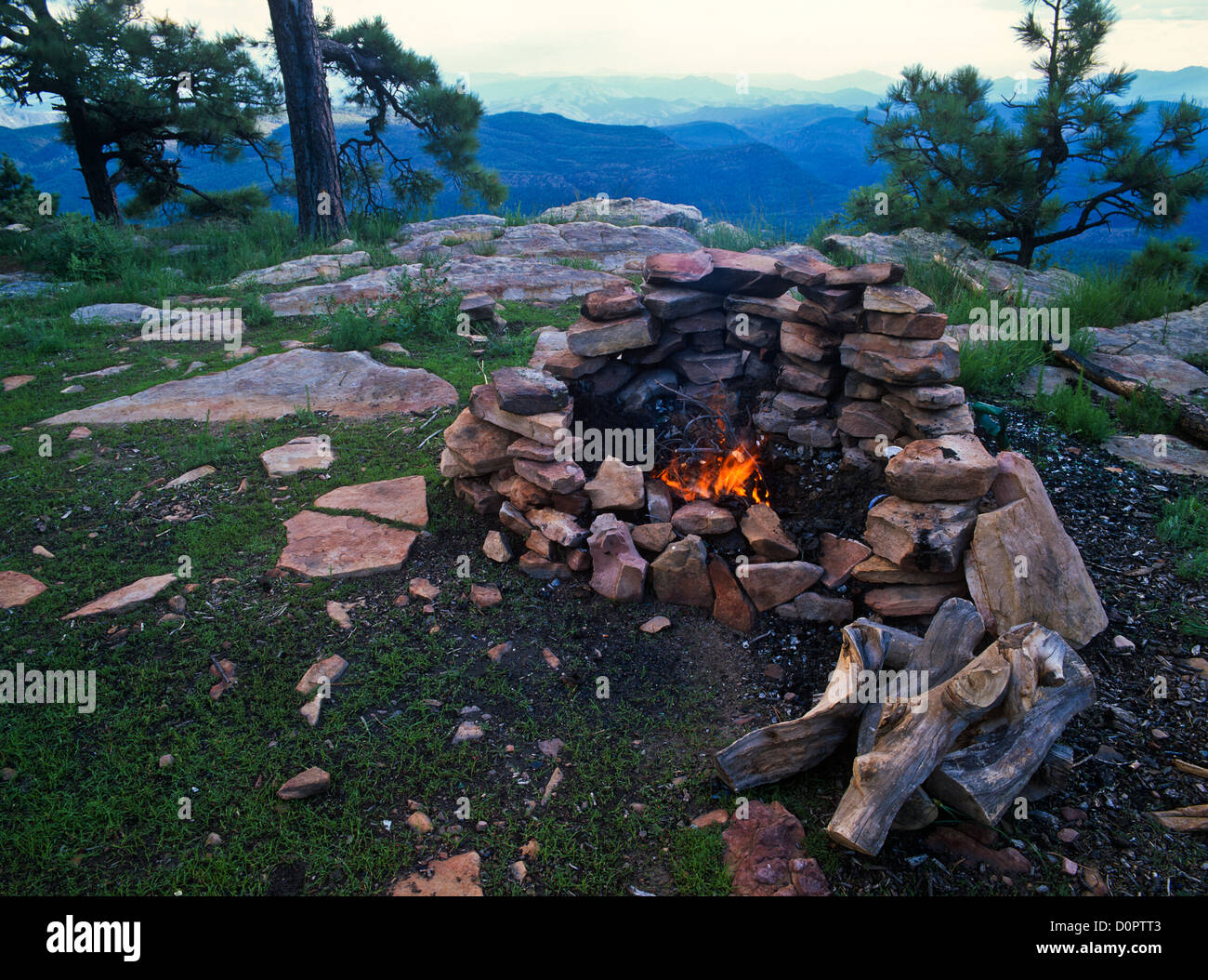 Mogollon Rim summer, North of Payson, Arizona. Coconino National Forest ...