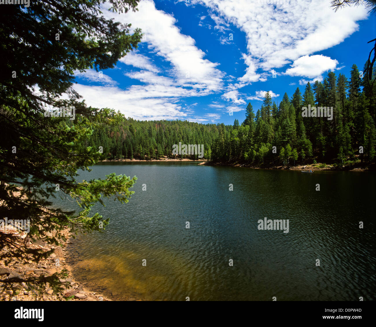 Knoll Lake on the Mogollon Rim. Apache-Sitgreaves National Forest ...