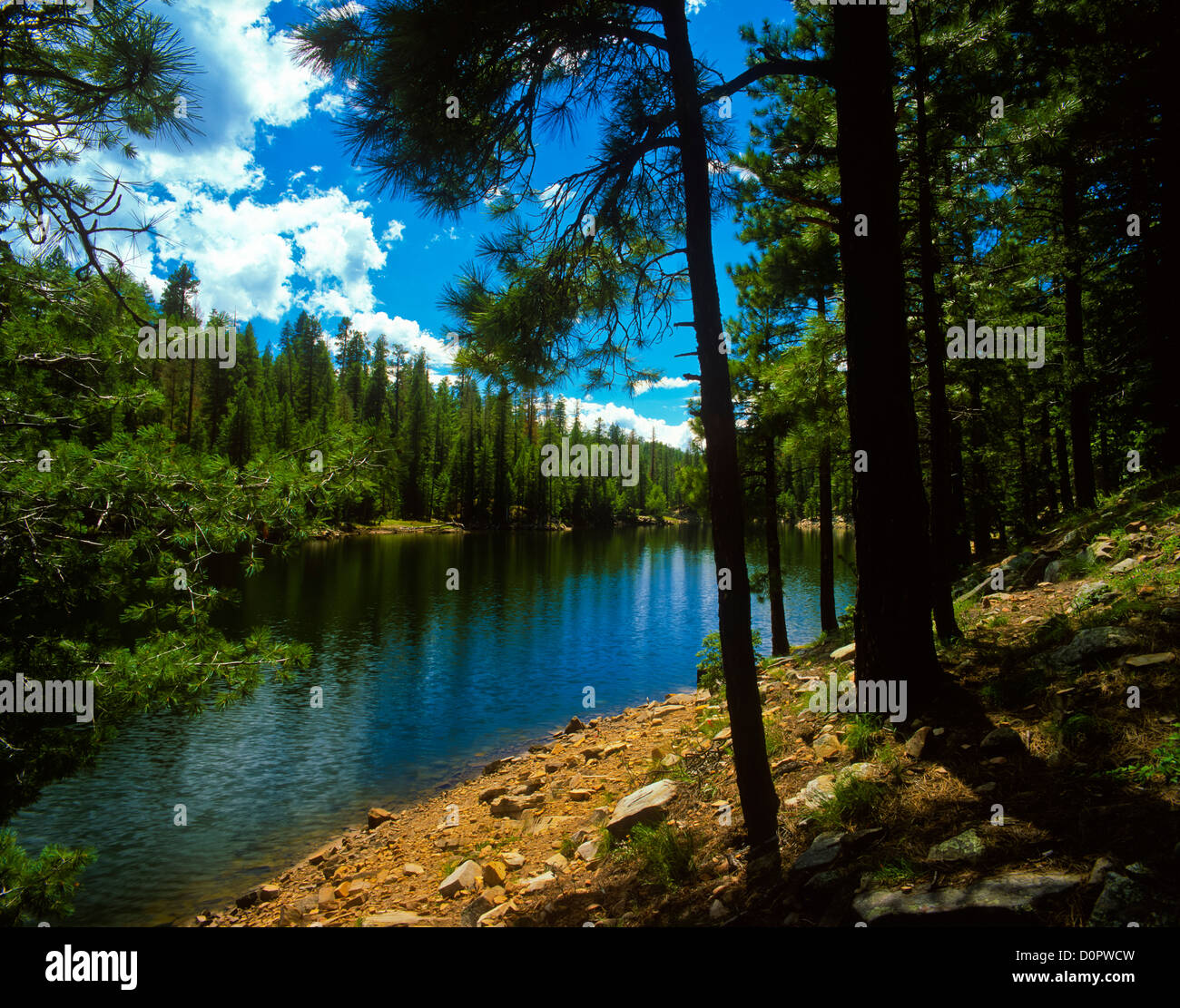 Knoll Lake on the Mogollon Rim. Apache-Sitgreaves National Forest ...