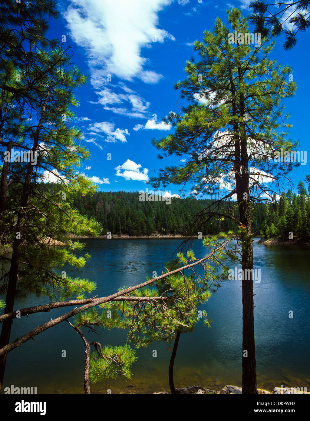 Knoll Lake on the Mogollon Rim. Apache-Sitgreaves National Forest ...