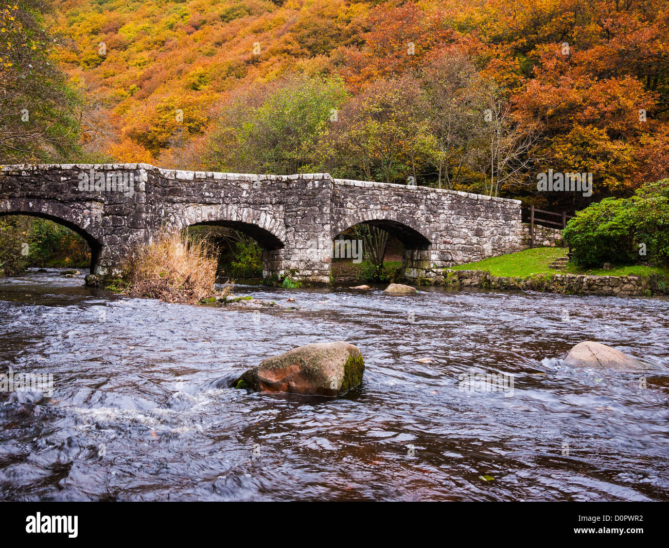 Fingle Bridge over the River Teign, Dartmoor, England Stock Photo - Alamy