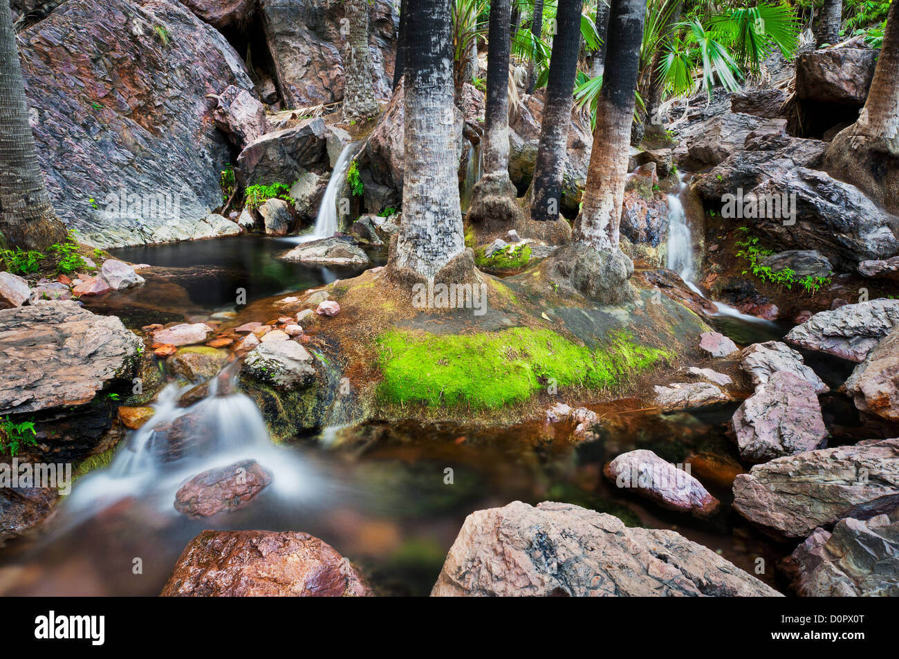 Zebedee australia hi-res stock photography and images - Alamy
