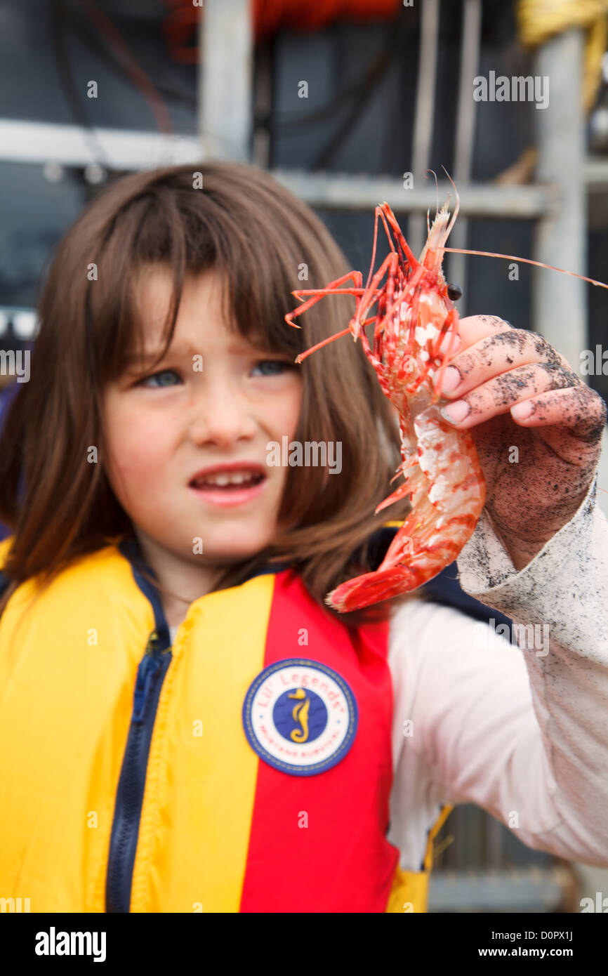 The Shrimp Model High Resolution Stock Photography and Images - Alamy