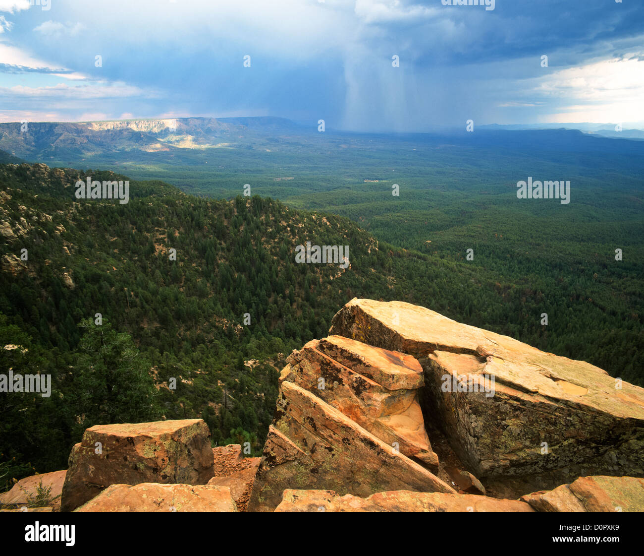Mogollon Rim summer, North of Payson, Arizona. Coconino National Forest ...