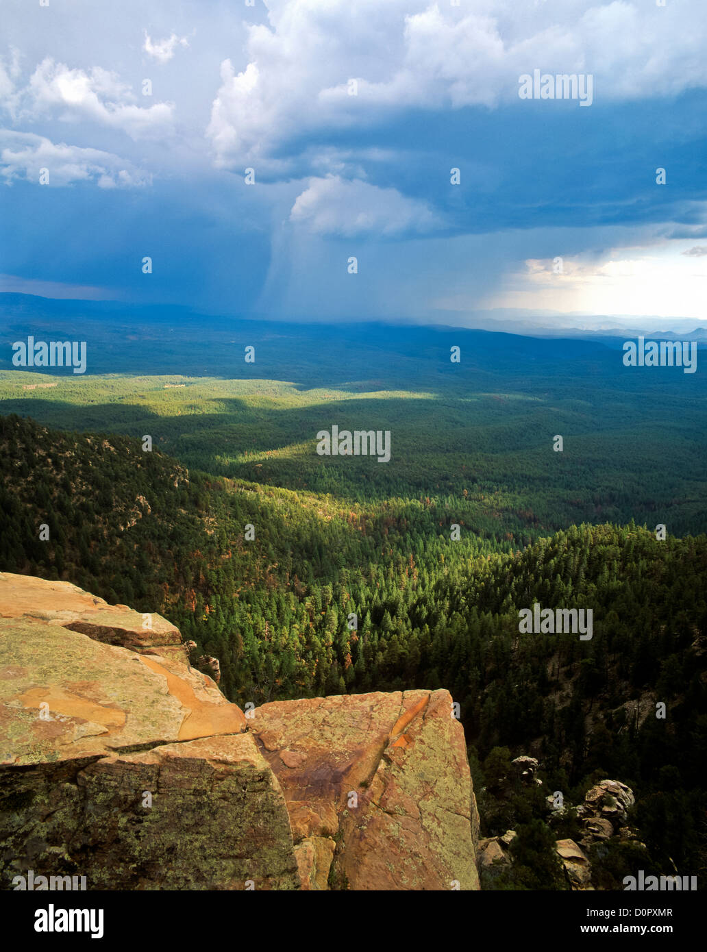 Mogollon Rim summer, North of Payson, Arizona. Coconino National Forest ...