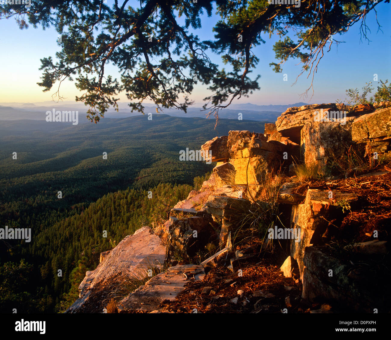 Mogollon Rim summer, North of Payson, Arizona. Coconino National Forest ...