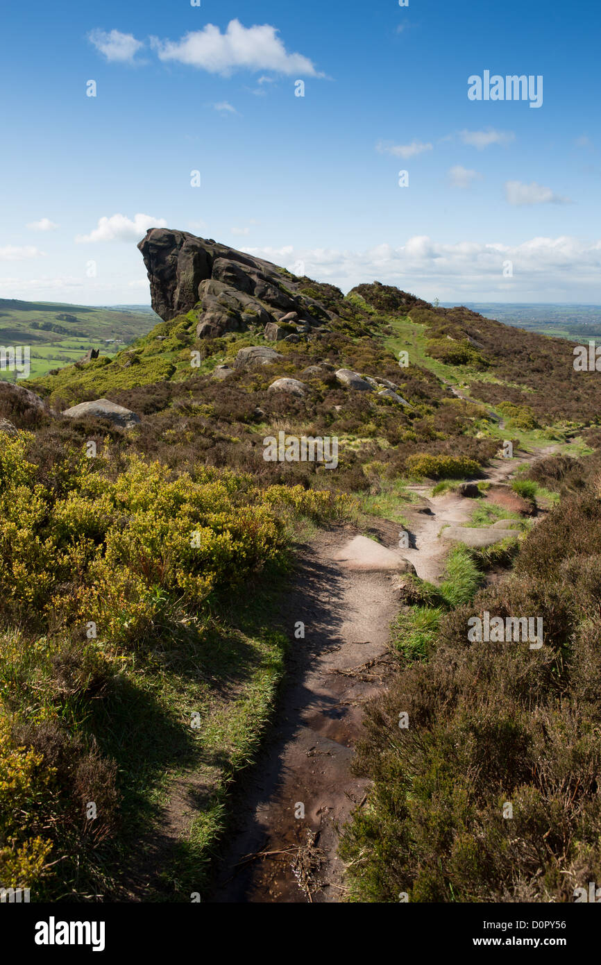 Ramshaw Rocks, a gritstone escarpment near The Roaches in the Peak ...
