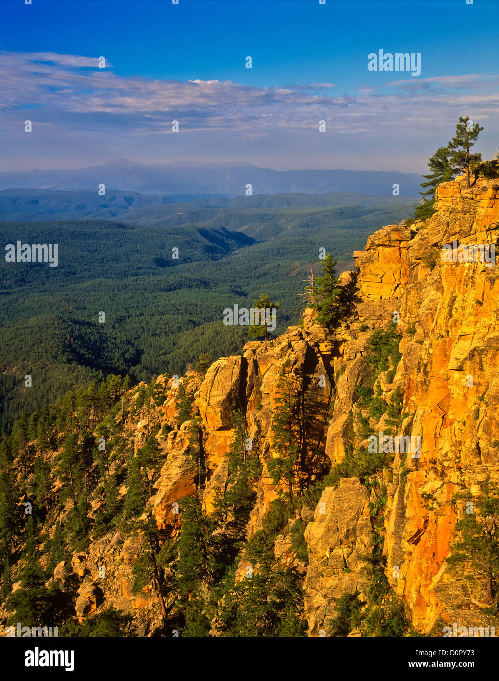 Mogollon Rim summer, North of Payson, Arizona. Coconino National Forest ...