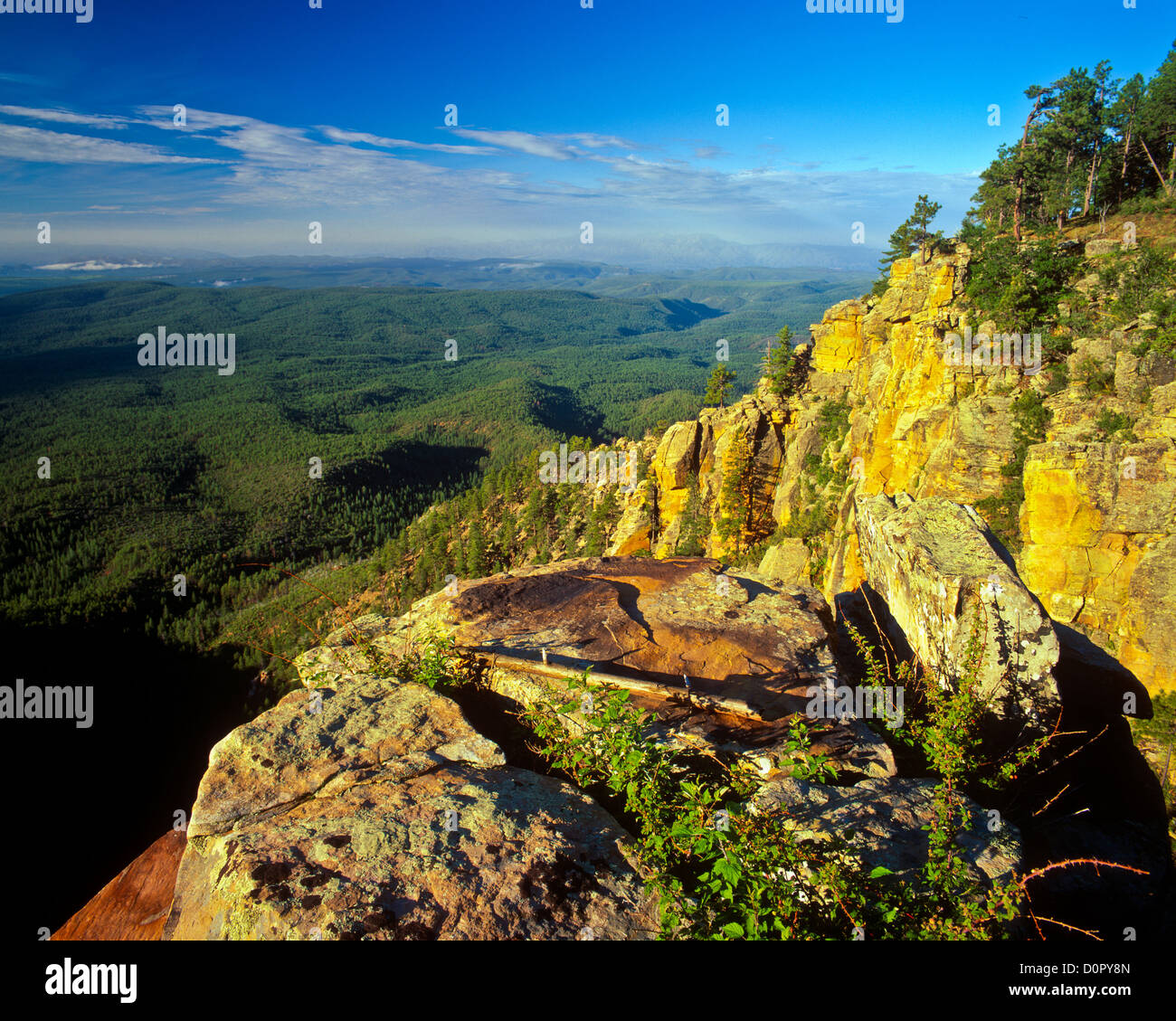 Mogollon Rim summer, North of Payson, Arizona. Coconino National Forest ...