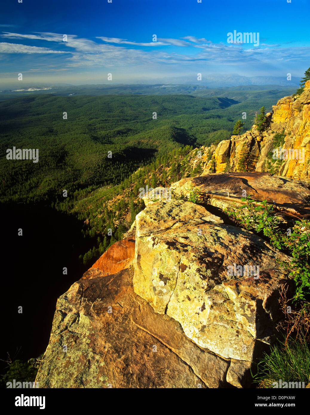 Mogollon Rim summer, North of Payson, Arizona. Coconino National Forest ...