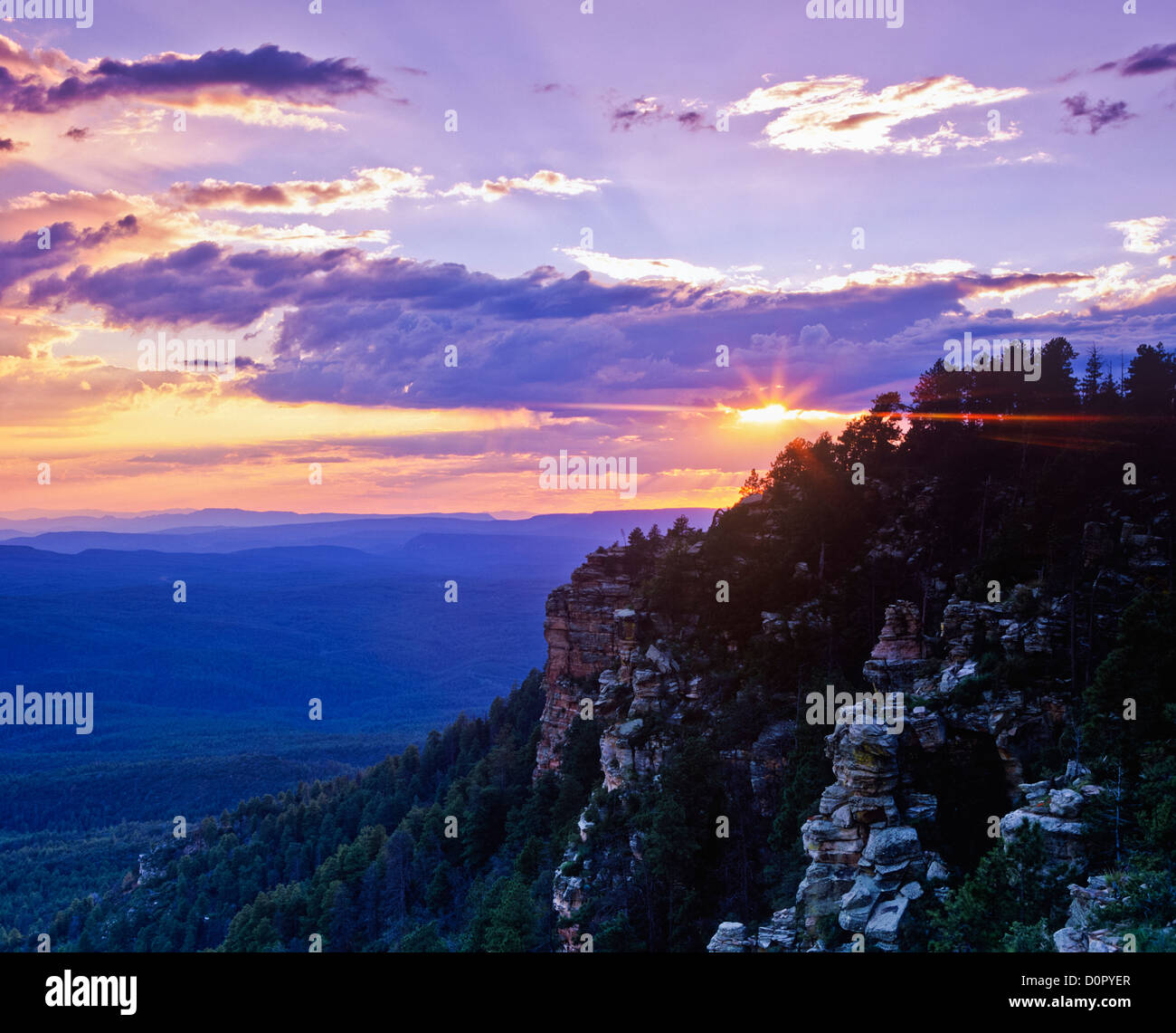 Mogollon Rim summer, North of Payson, Arizona. Coconino National Forest ...