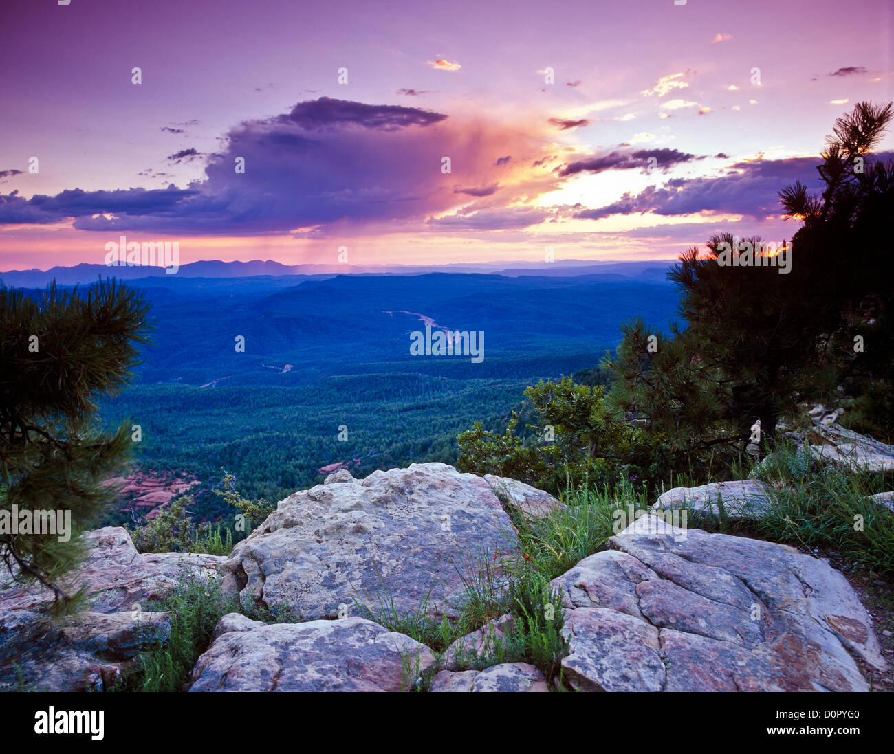 Mogollon Rim summer, North of Payson, Arizona. Coconino National Forest ...